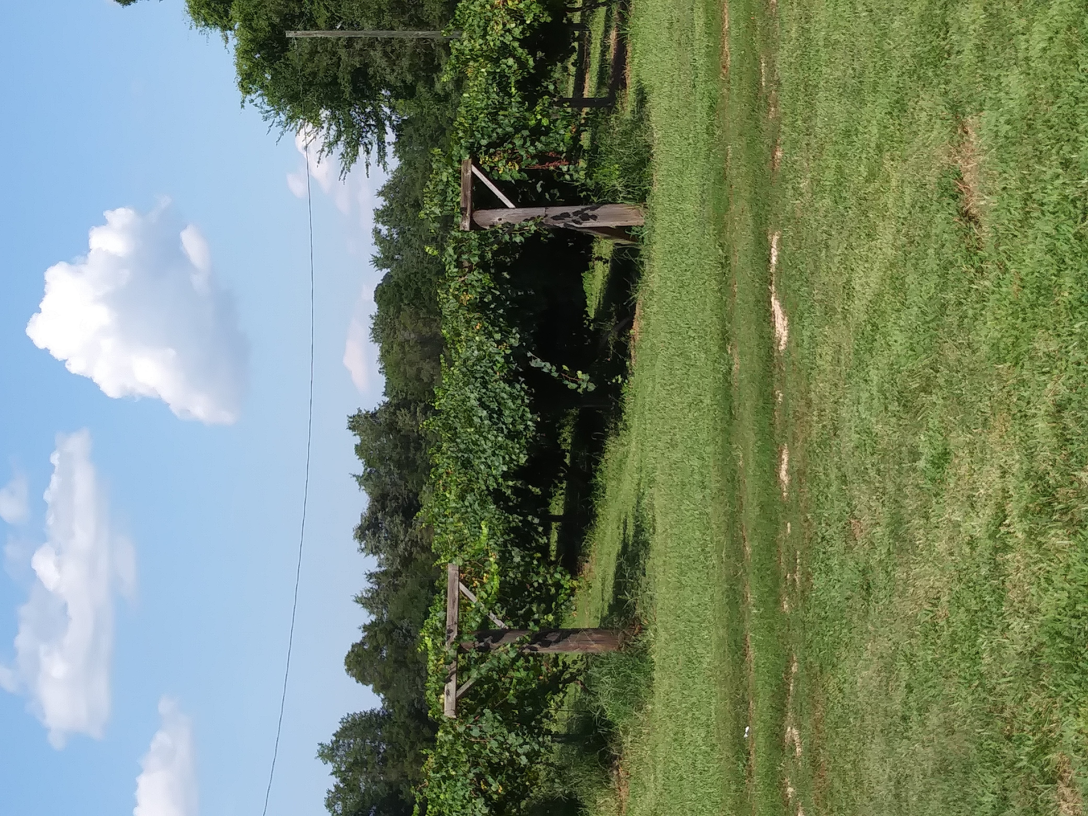Home - Borders Farm